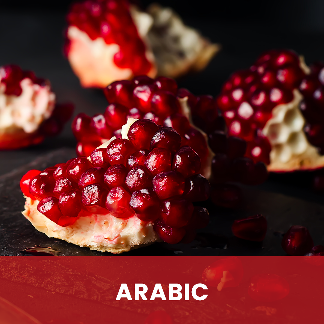 HORECA – Darinne Distribution